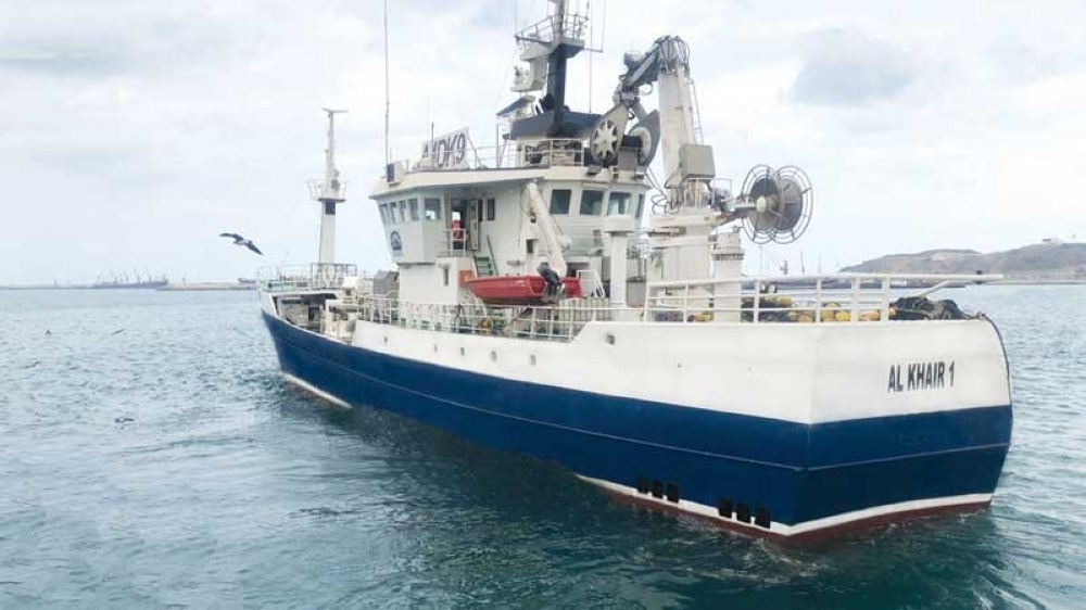 Suez Canal blockage impacts Oman Fisheries’ Q1 performance - Oman Observer