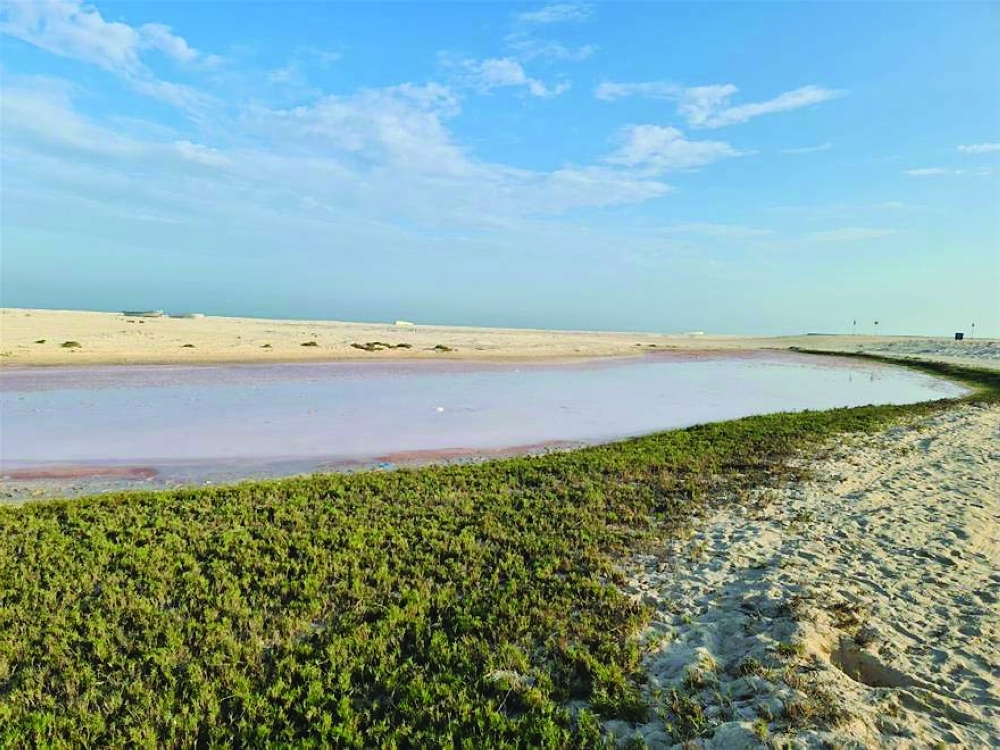 Pink lakes of Wilayat of Al Jazer - Oman Observer