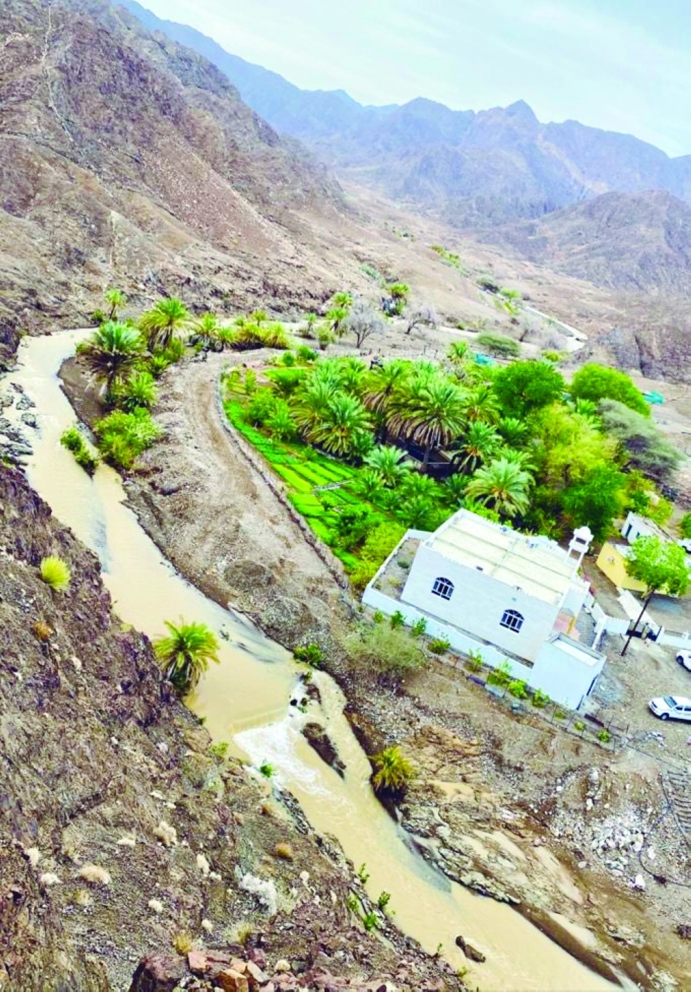 Rainfall witnesses in some parts, more expected - Oman Observer