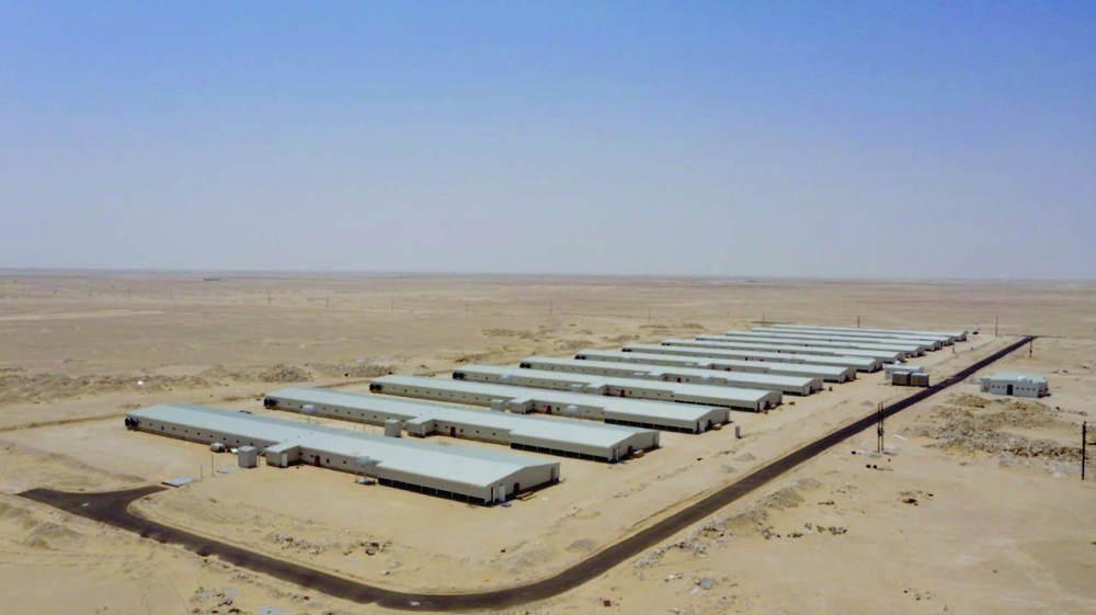 Oman’s biggest breeder farm celebrates maiden production of hatching ...