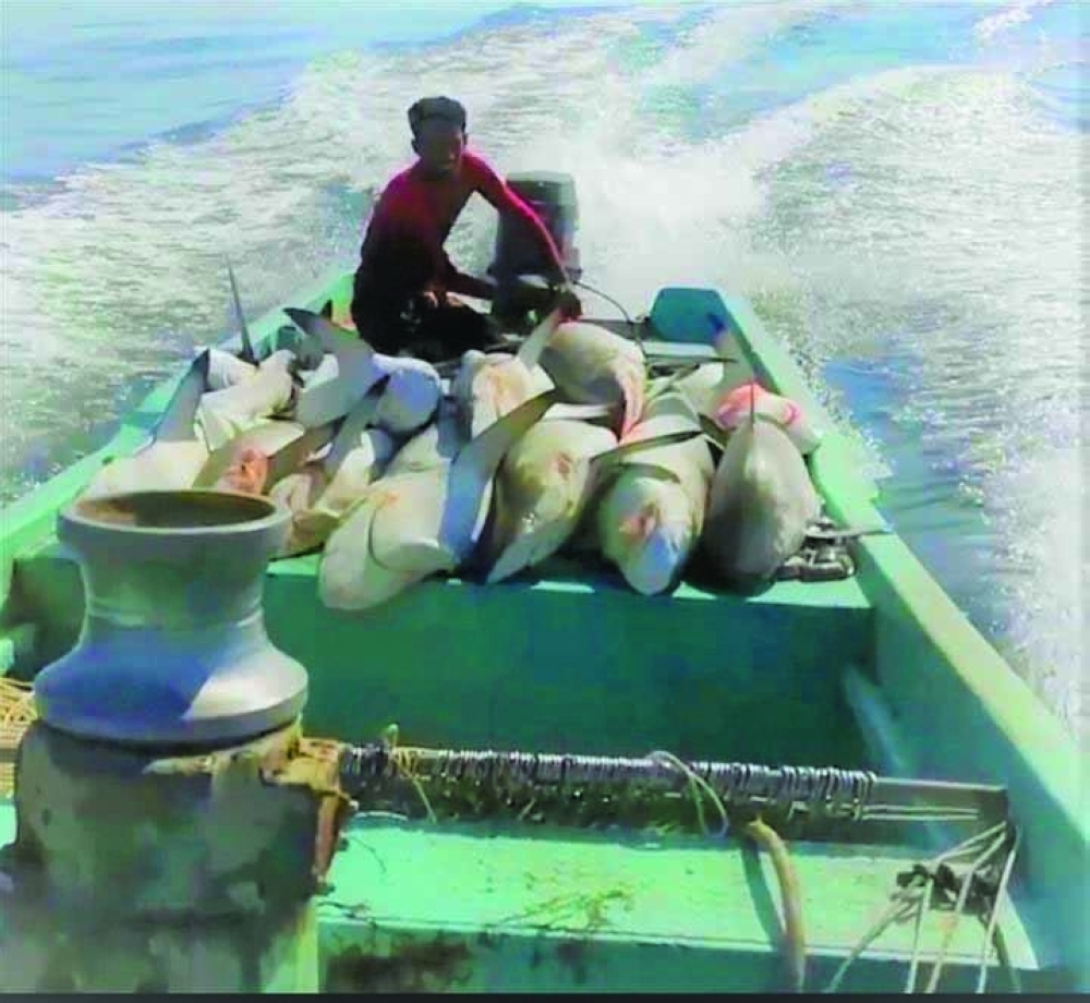 Dhalkut Port pushes the wilayat towards growth and development - Oman ...