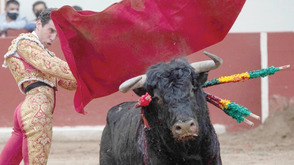 Ole! Bullfights return in Peru after lengthy pandemic pause - Oman Observer