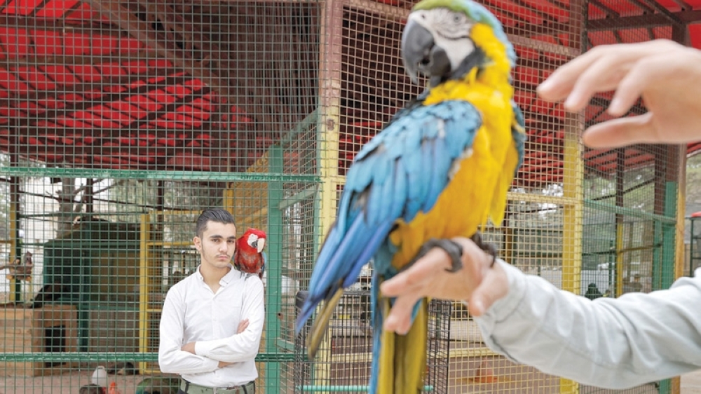 ZOO PARK GETS NEW ATTRACTION - Oman Observer