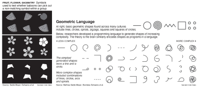 Is geometry a language that only humans know? - Oman Observer
