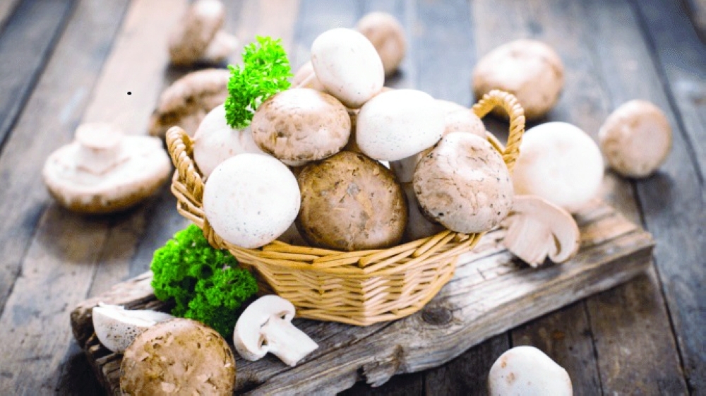 OIA strengthens Oman’s food security ambitions - Oman Observer