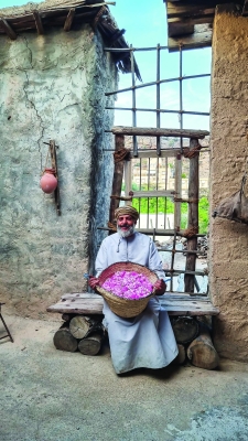 The last blossoms of the prized roses - Oman Observer