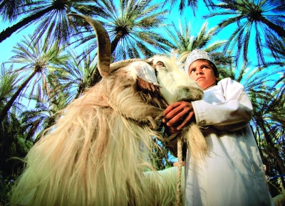 Documenting celebrated traditions in the fast-changing world of the ...