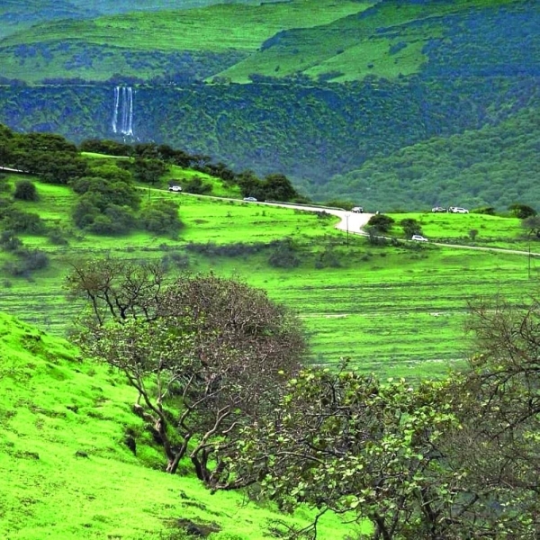 Khareef Salalah named best Arab tourist destination for 2022 - Oman ...