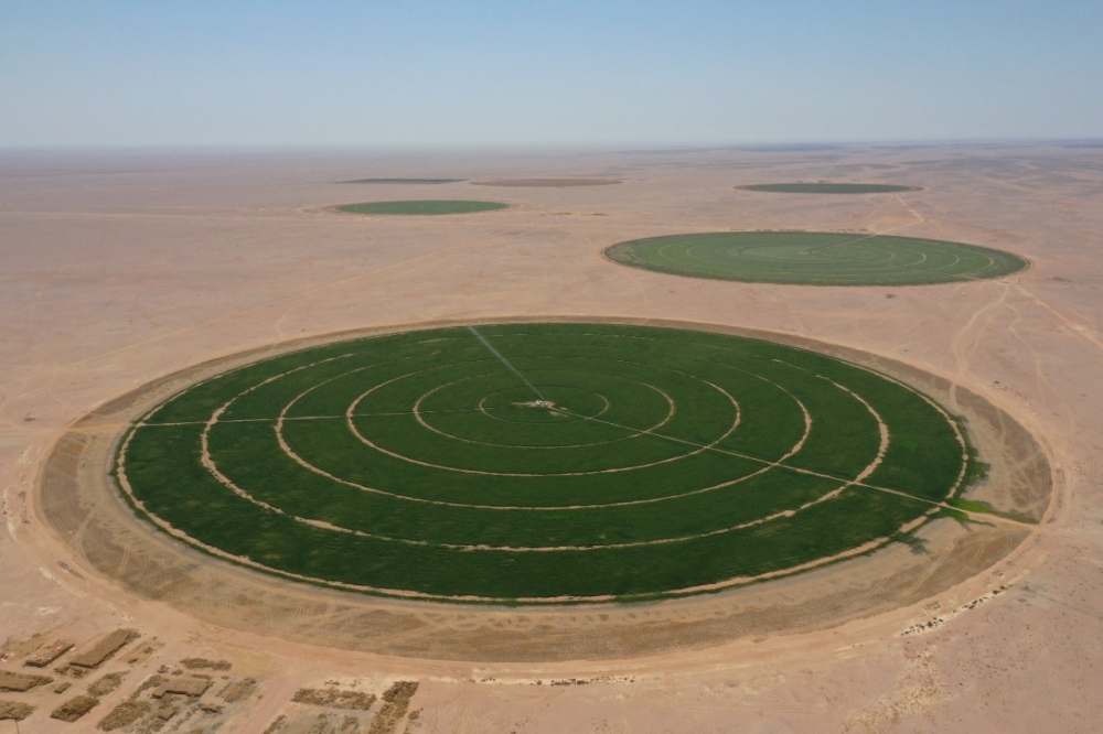 Najd opens up to small and large-scale agricultural investment - Oman ...