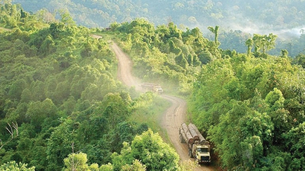 Scientists fight to protect DR Congo rainforest as threats increase ...