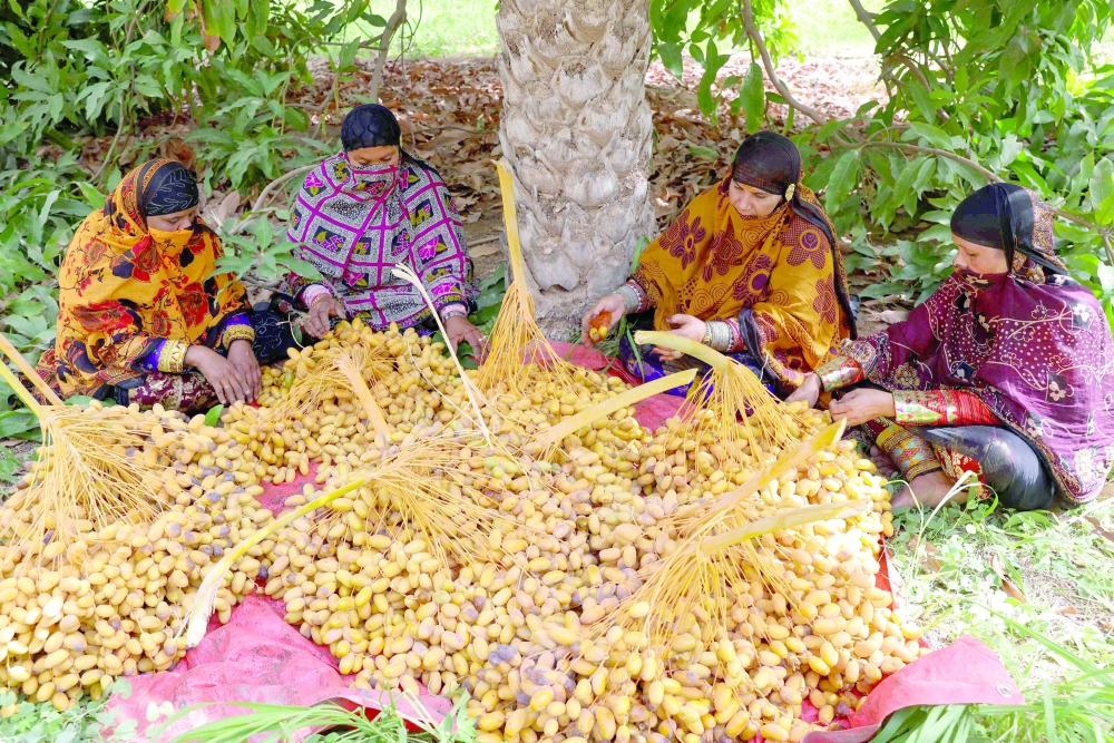 Oman strong in food security and safety measures - Oman Observer