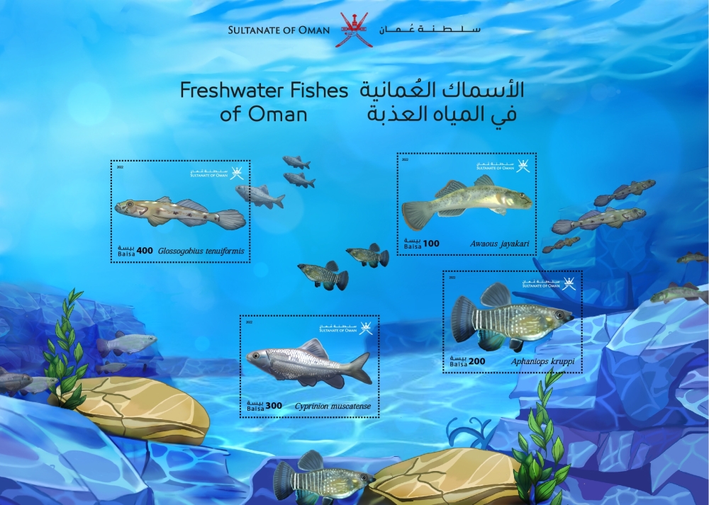 Stamps on Oman’s freshwater fishes rolled out - Oman Observer