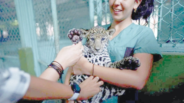 Cuban zoo helps deaf visitors experience the wild - Oman Observer