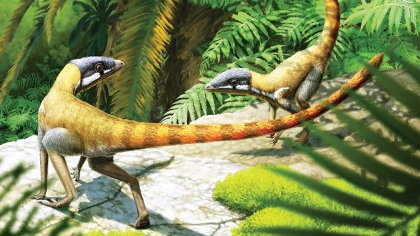 Fossils Reveal Pterosaur Relatives Before They Evolved Wings - Oman ...