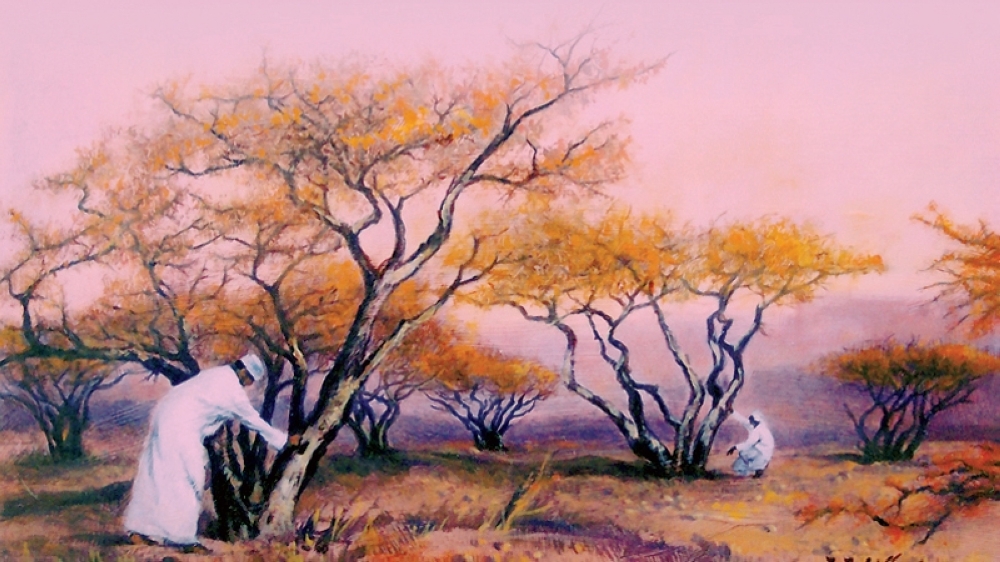 ESO marks Oman Tree Day with a publication celebrating Frankincense ...