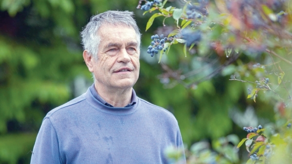 Scottish blueberry farmer donates ‘unviable’ crop to charity - Oman ...