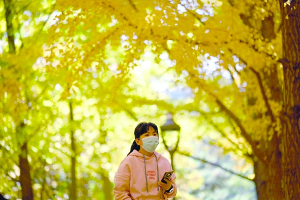 Autumn in China - Oman Observer