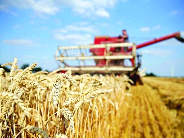 Oman Flour Mills weighs acquisition of Australian farm land - Oman Observer