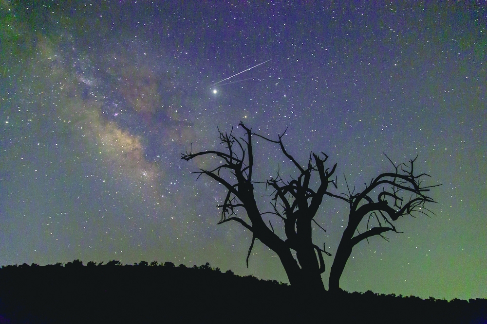 Geminid meteor shower in the sky of Oman - Oman Observer