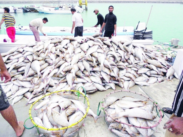 Oman’s fish production surges to 1,703K tonnes in 2022 - Oman Observer