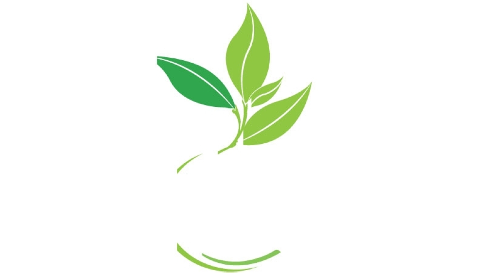 World Environment Day: Clean and Green Oman - Oman Observer