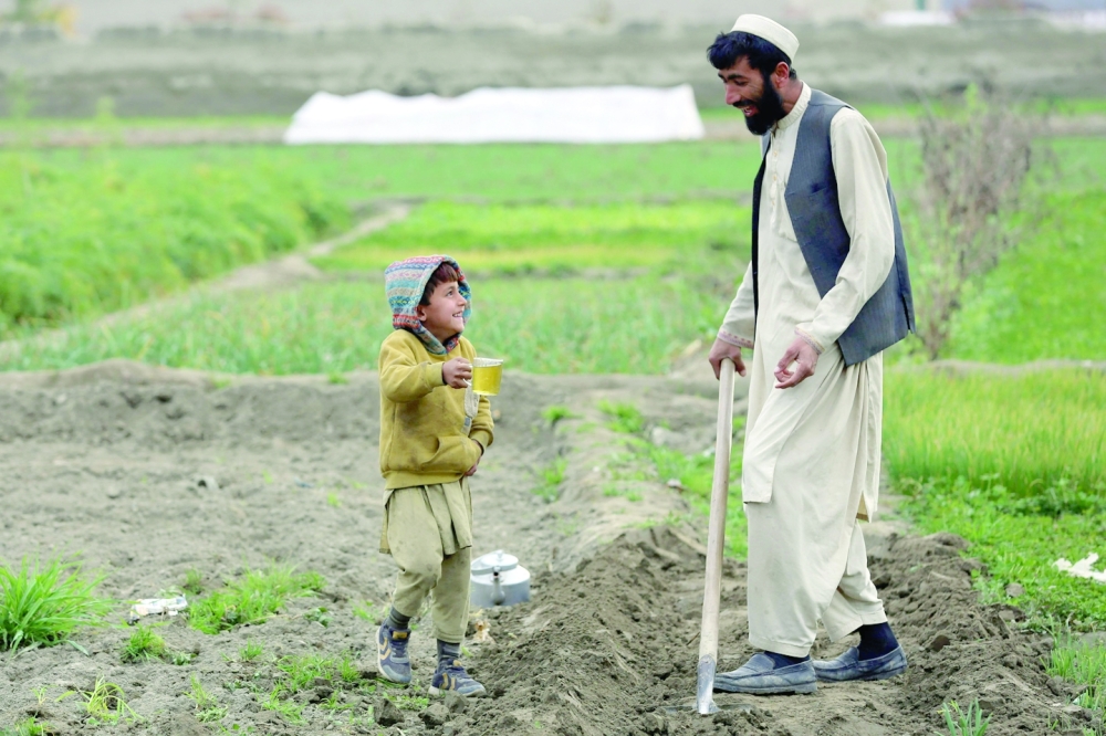 AGRICULTURE IN AFGHANISTAN - Oman Observer