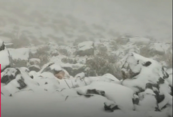 Snow blankets Jabel Shams in Oman - Oman Observer