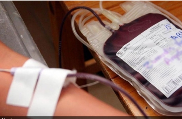 Daily demand for blood units increasing: Official - Oman Observer