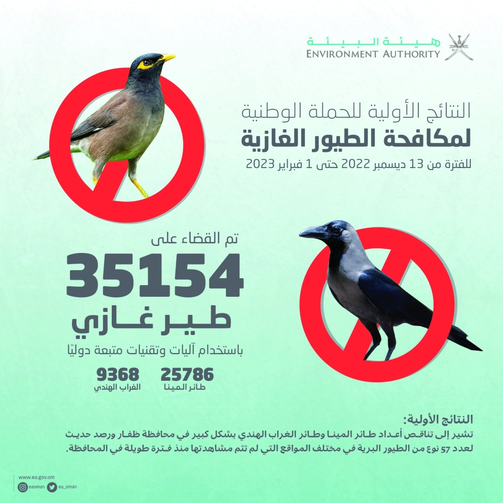 Over 35,000 invasive birds eliminated in Dhofar - Oman Observer