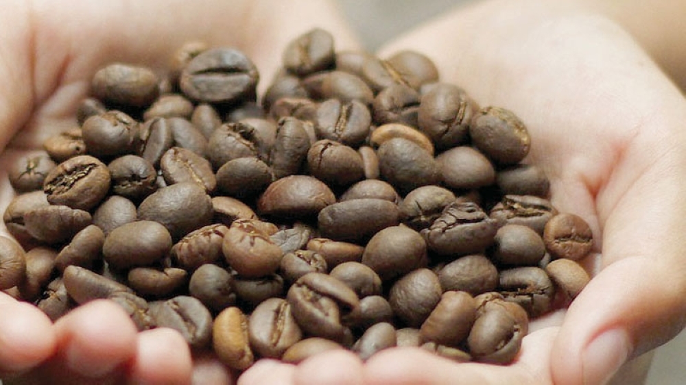 Celebrating his coffee farm growing abundantly in Dhofar mountains ...