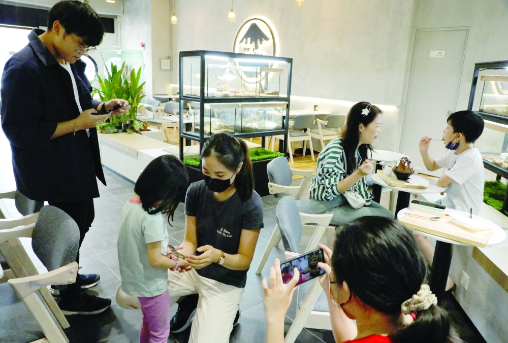 Snakes, lizards and desserts meet in Malaysia's first reptile cafe ...