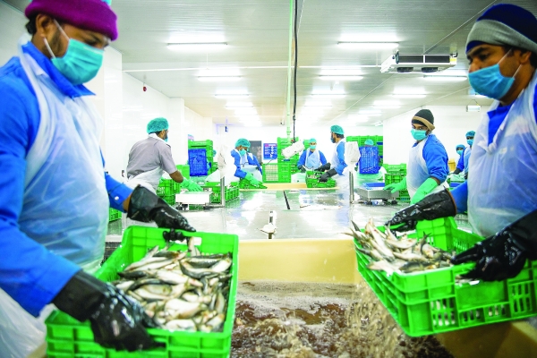 Oman Fisheries embarks on transformation strategy to bolster its ...