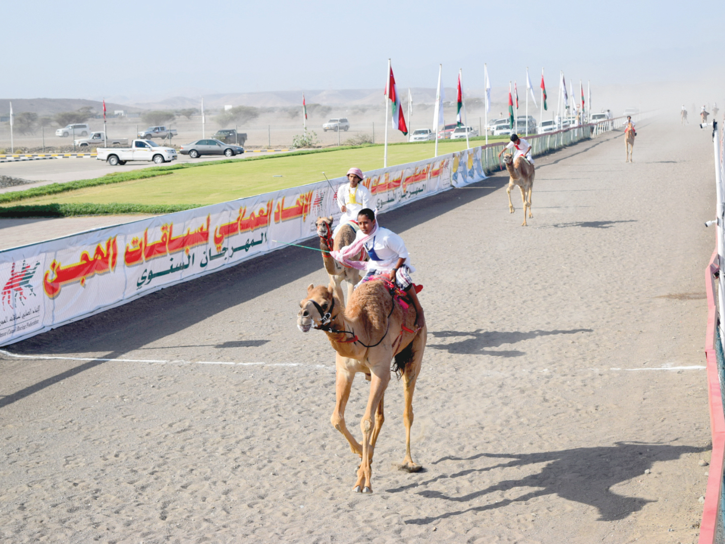 Suhar camel racing track continues to bring heritage to life - Oman ...