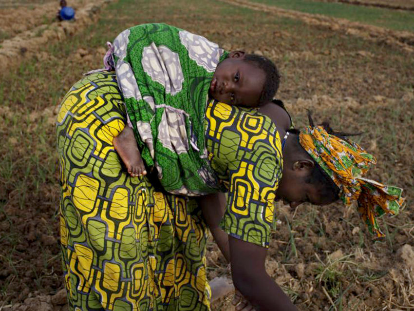 New Mali law ray of hope for women’s land rights - Oman Observer