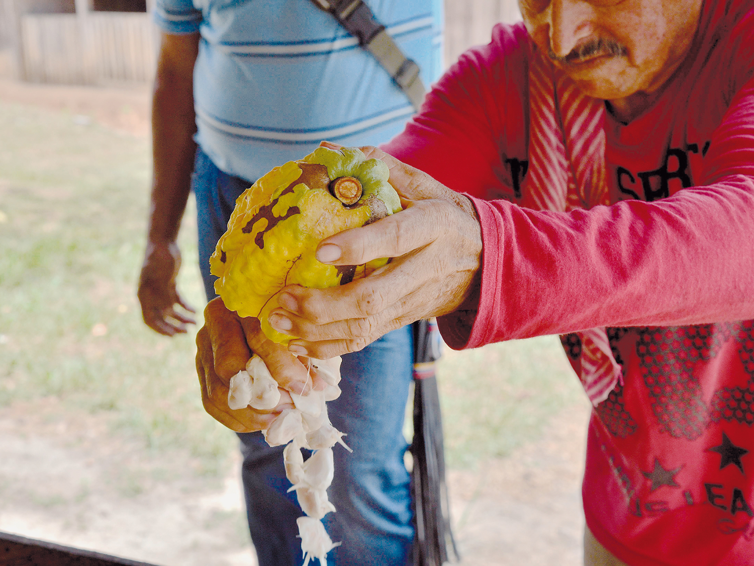 Colombia’s ‘drug triangle’ puts hope in chocolate - Oman Observer