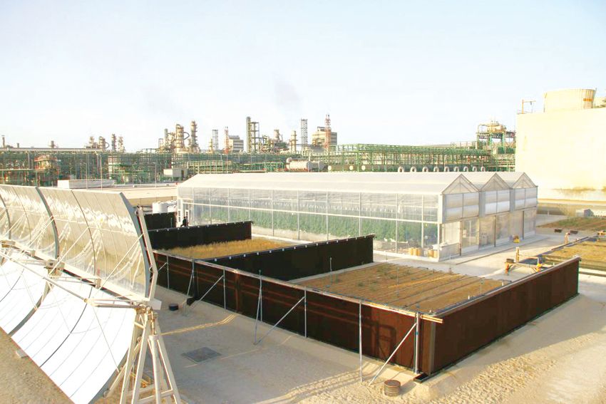 Sun powers vegetable farms in desert - Oman Observer