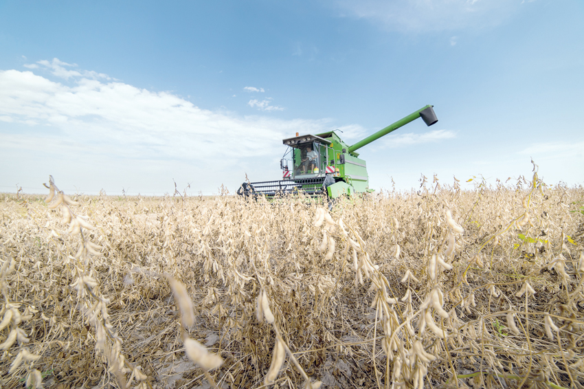 US soy acres seen at all-time high despite big stocks: USDA - Oman Observer