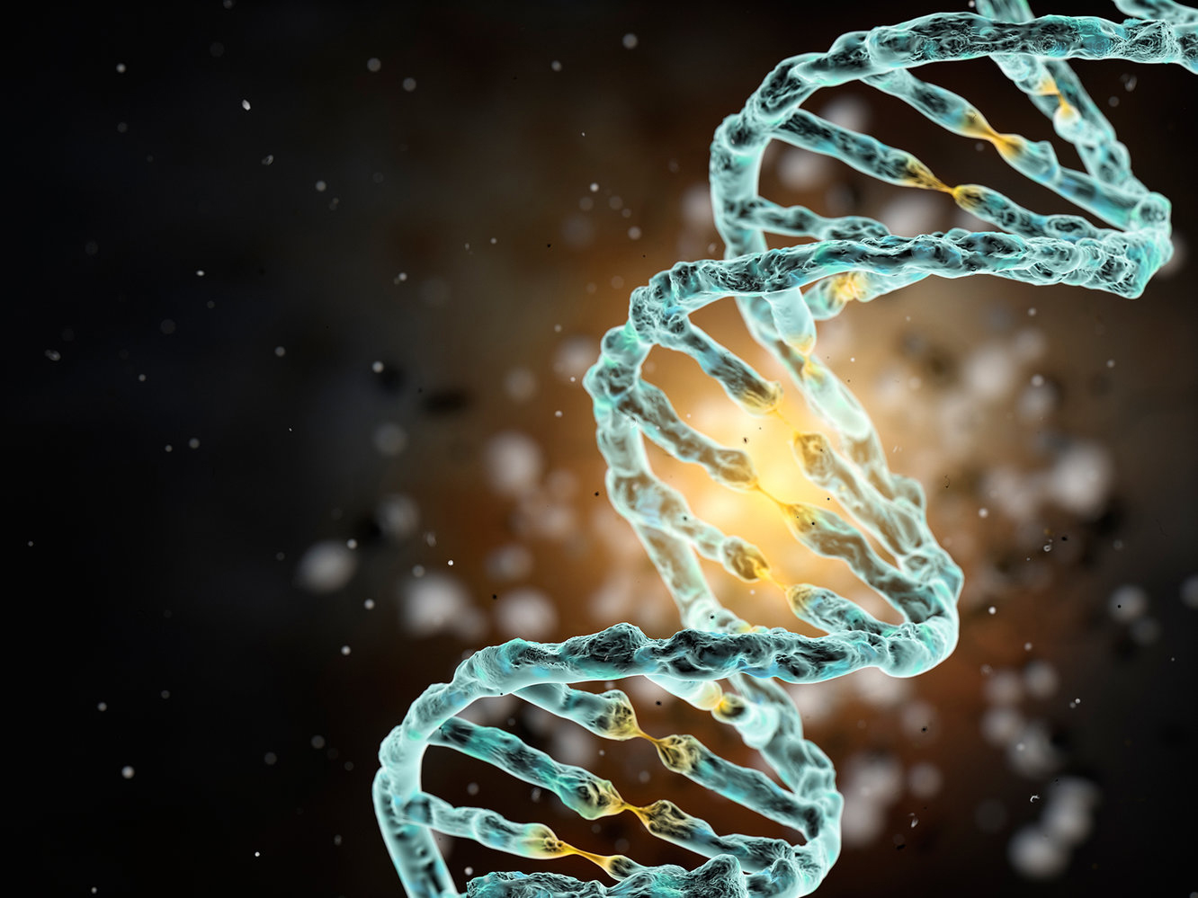 Scientists track fish migration using DNA in water - Oman Observer