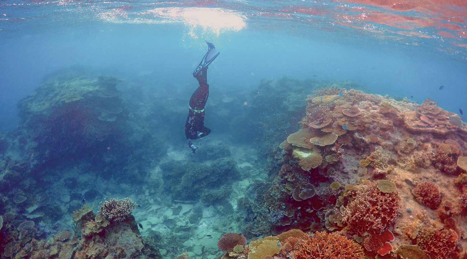 Australia must do more to protect reef: Unesco - Oman Observer