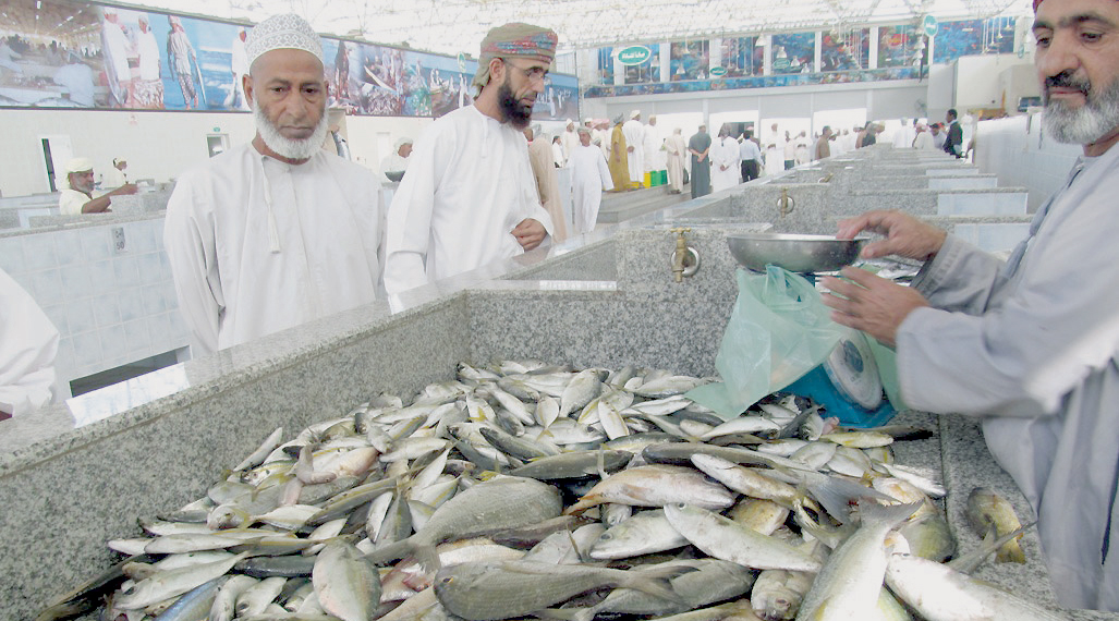 Fish prices dip further as supplies soar - Oman Observer