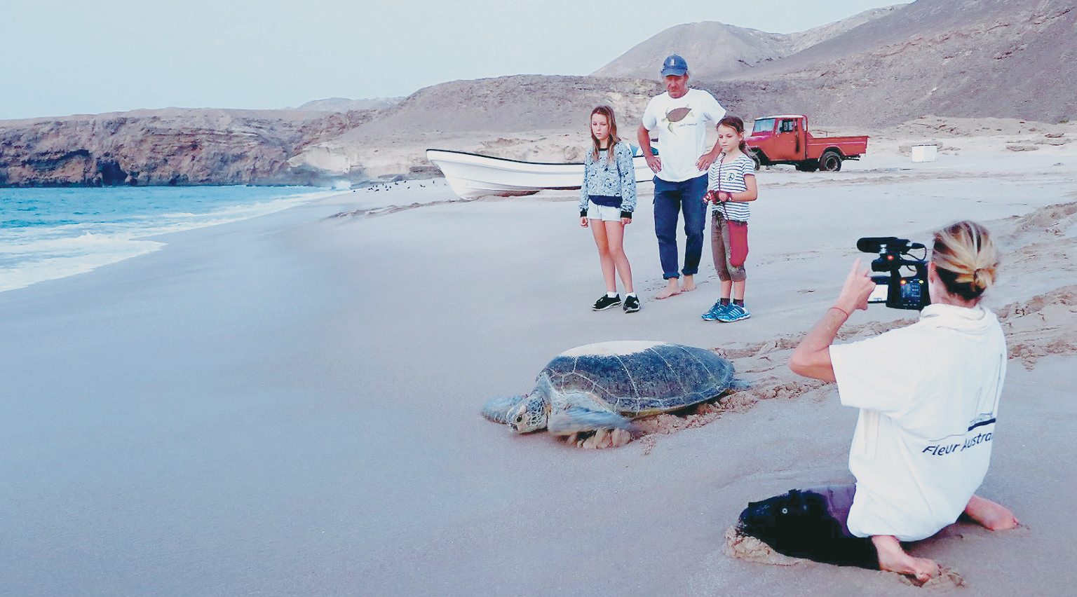 Fees prescribed for entry into turtle reserve - Oman Observer