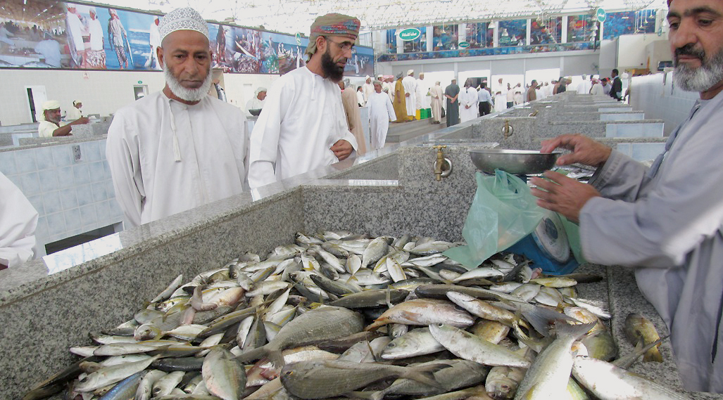 Ban on catching, selling kingfish from August 15 - Oman Observer