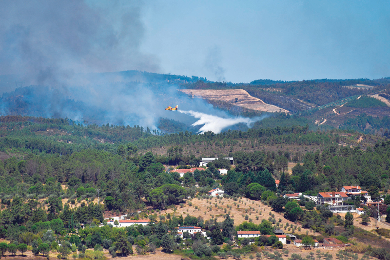 Four towns evacuated as Portugal battles forest fires - Oman Observer