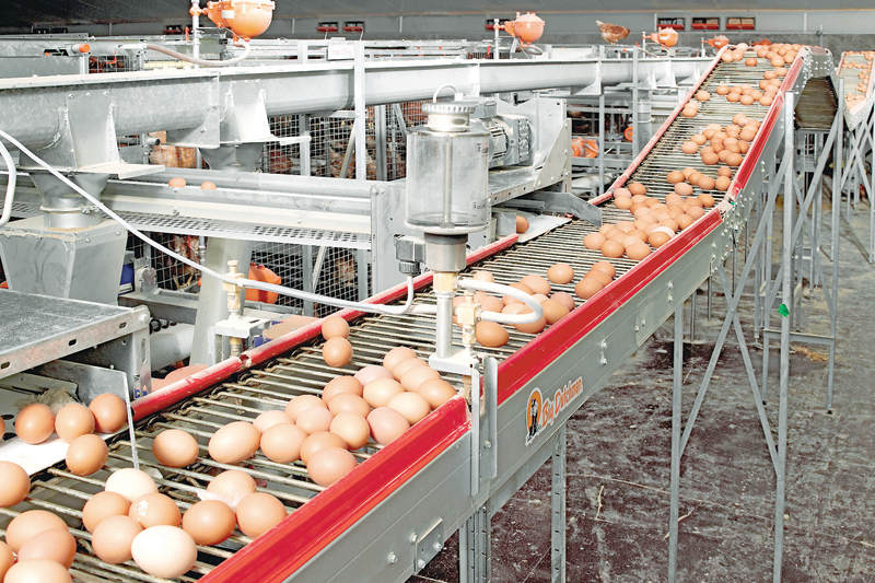 Oman Flour Mills eyes major projects to drive growth - Oman Observer