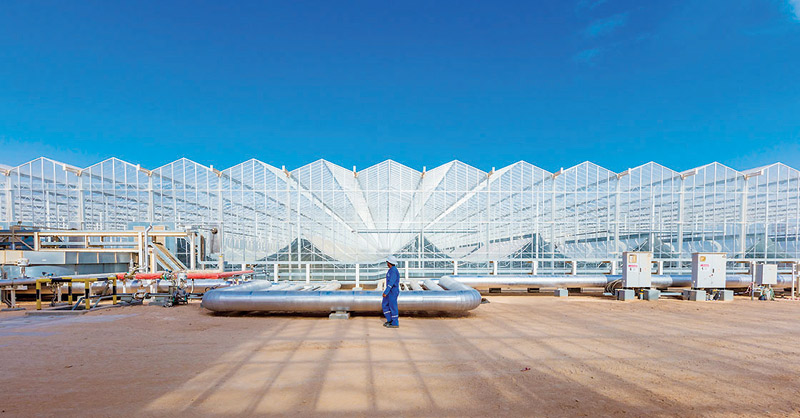 GlassPoint completes first block of giant Miraah solar plant - Oman ...