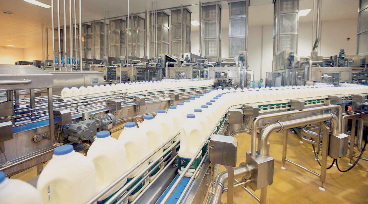 Three major global vendors for Mazoon Dairy plant contract - Oman Observer