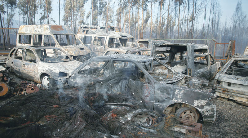 Portugal-Spain wildfire toll hits 41 - Oman Observer