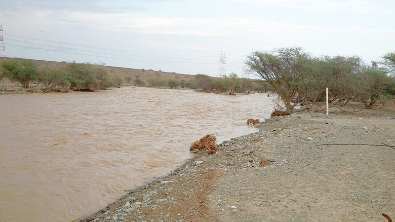 RAINS IN WILAYATS - Oman Observer