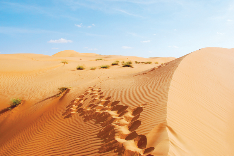 Desert as muse - Oman Observer