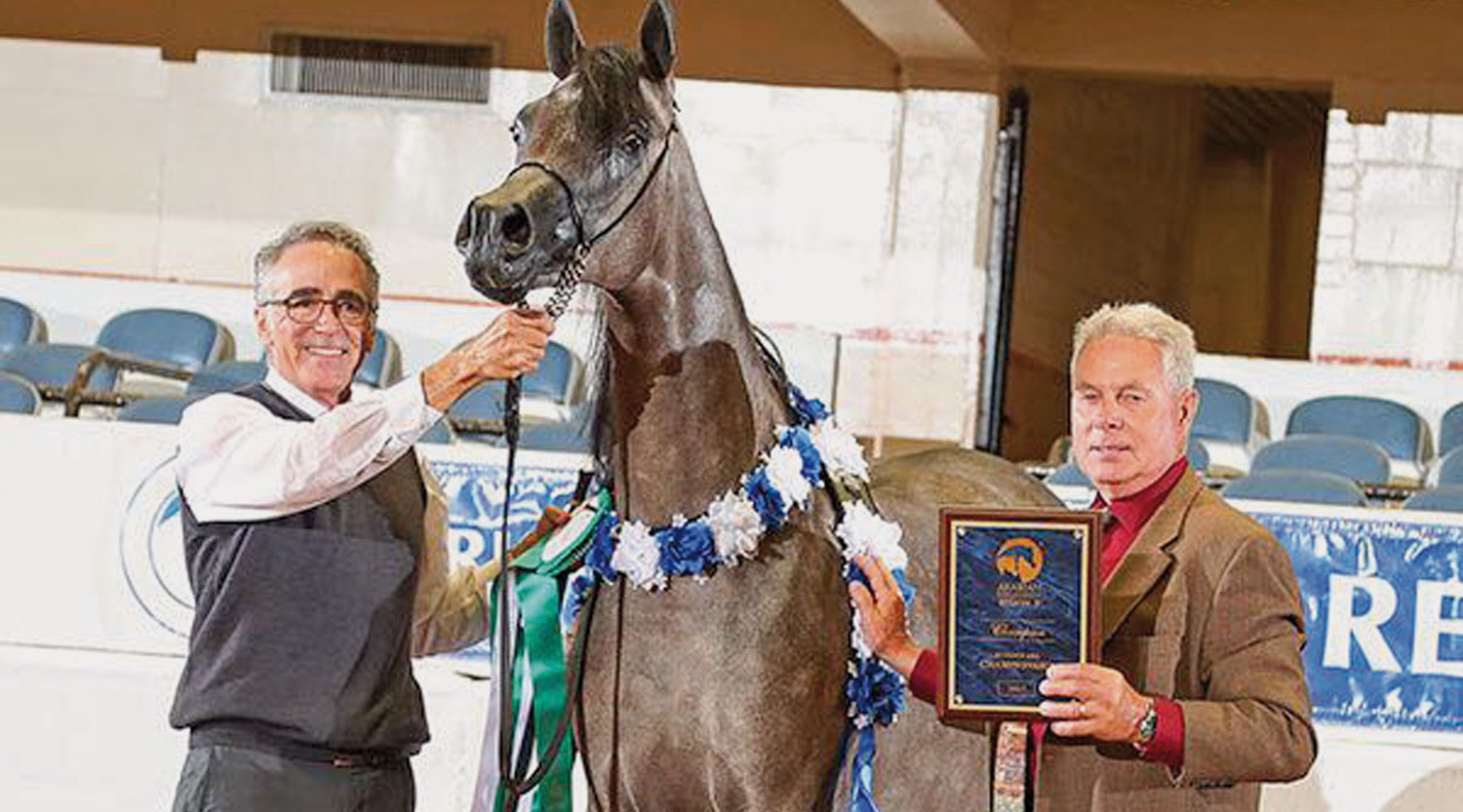 Princess Marwan of Royal Cavalry wins Golden Champion title in the US ...